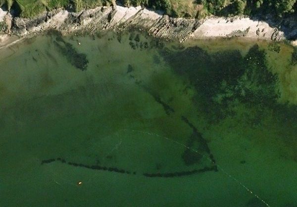 Fish Trap – The Future Mapping Company